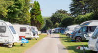 Looe Caravan and Motorhome Club Campsite | The Caravan Club
