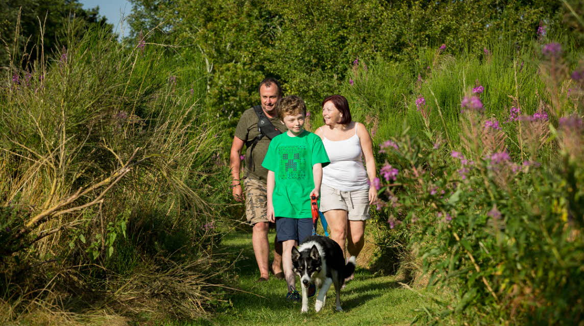 River Breamish Club Campsite | The Caravan Club