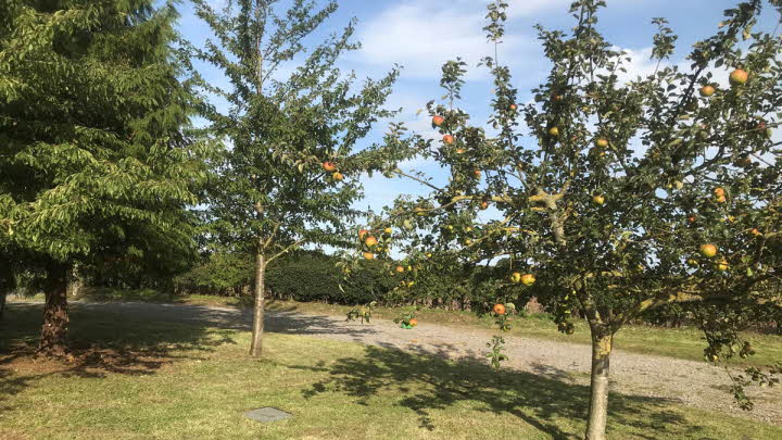 Oxclose Farm Certification Location | Caravan and Motorhome Club