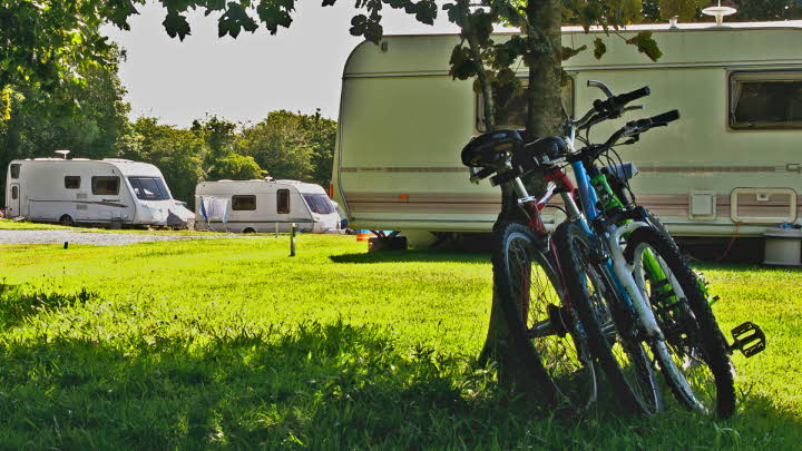 Penrhos Club Campsite | The Caravan Club