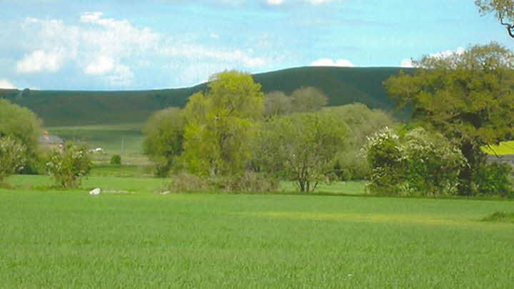 Court Farm CL - Devizes | Caravan and Motorhome Club