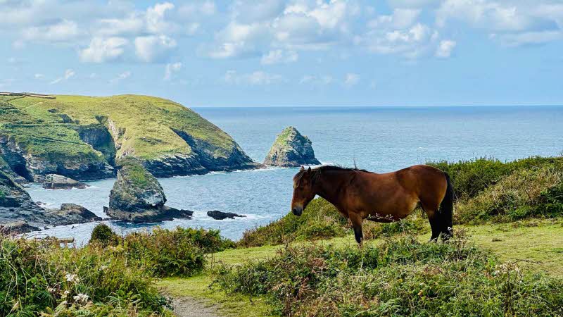 The Caravan and Motorhome Club | The Caravan Club