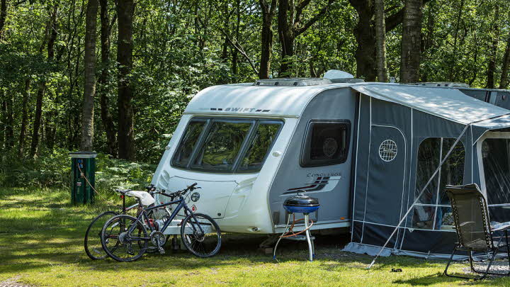 Coniston Park Coppice Club Campsite | The Caravan Club