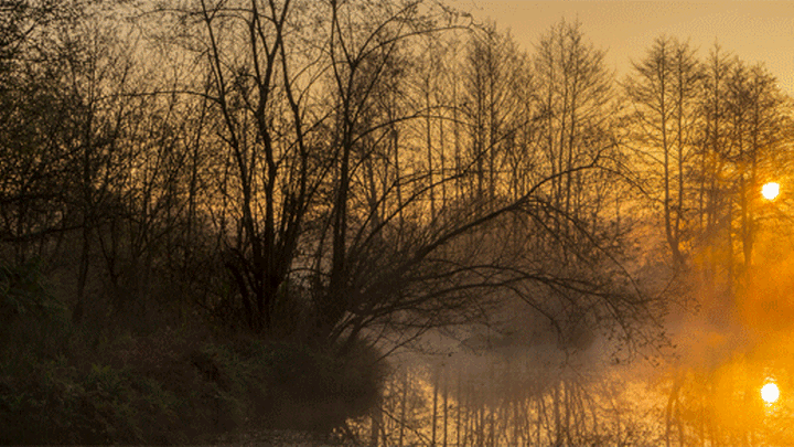 Alverstone Ponds CL | Caravan and Motorhome Club