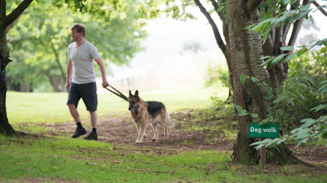 Stanmore Hall Touring Park | The Caravan Club