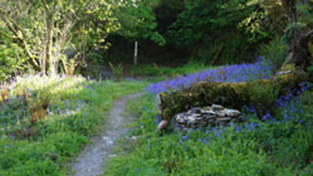 Trewethett Farm Club Campsite in Cornwall | The Caravan Club