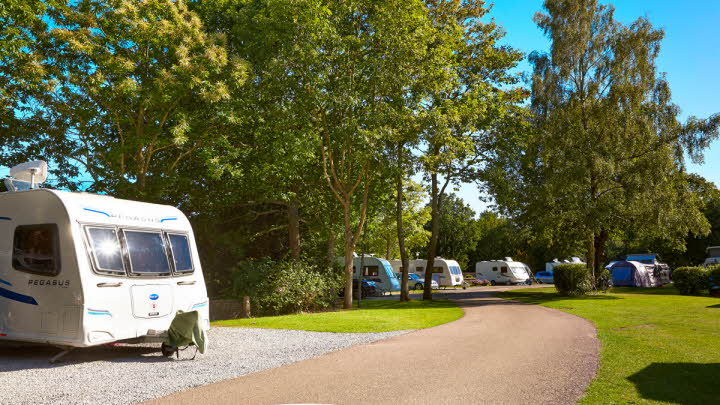 Battle Normanhurst Court Club Campsite | The Caravan Club