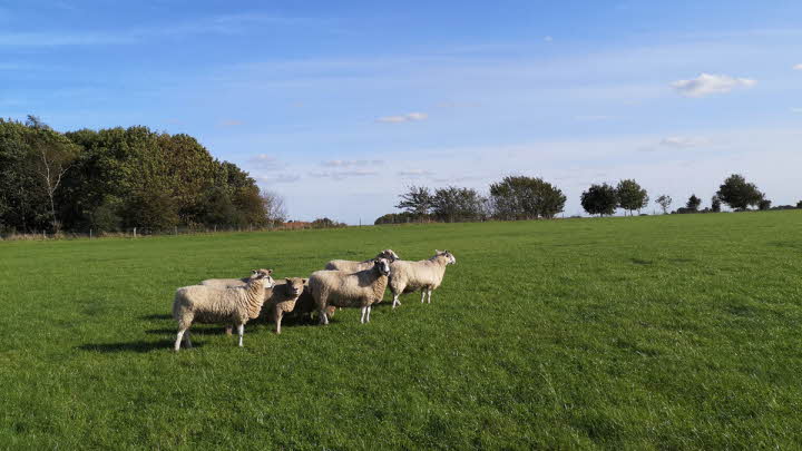 Brisley Hall Farm Certificated Location | Caravan and Motorhome Club