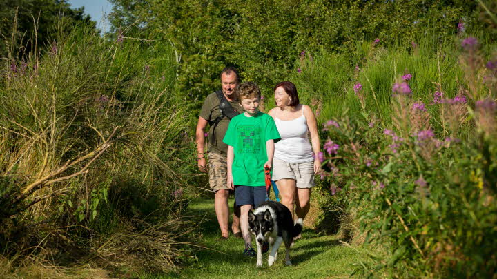 River Breamish Club Campsite | The Caravan Club