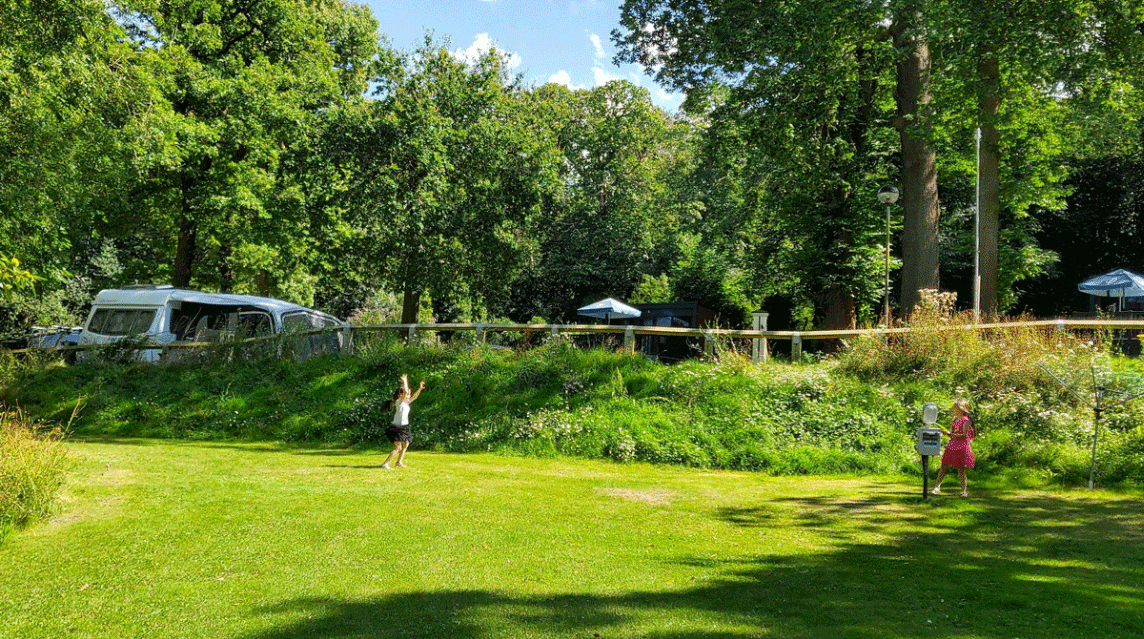 Abbey Wood Club Campsite | The Caravan Club
