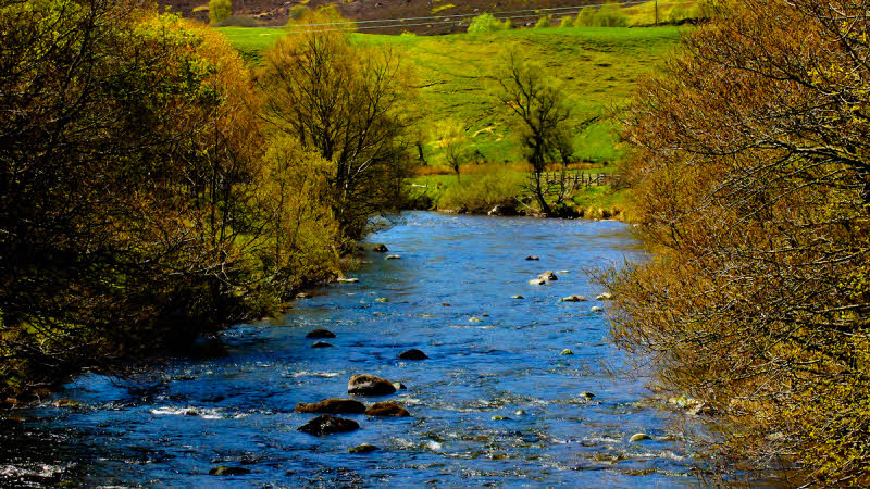 Club Campsites in England | The Caravan Club