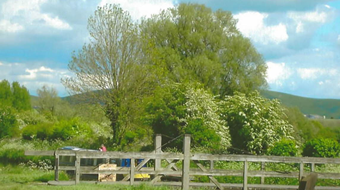 Court Farm CL - Devizes | Caravan and Motorhome Club