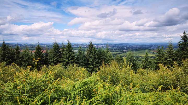Things to do in Devon | The Caravan Club