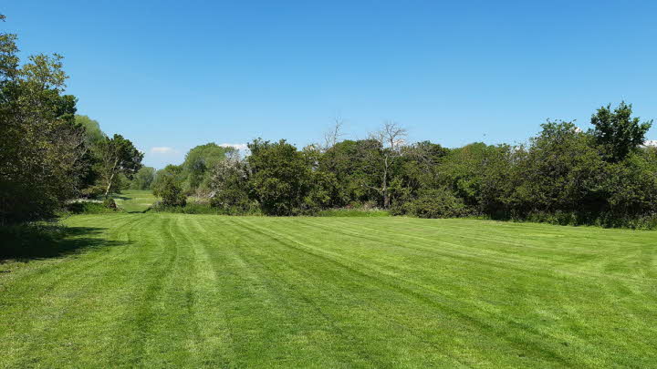 Ivy Farm Certificated Location | Caravan and Motorhome Club