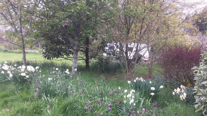 Birch Trees Farm CL | Caravan and Motorhome Club