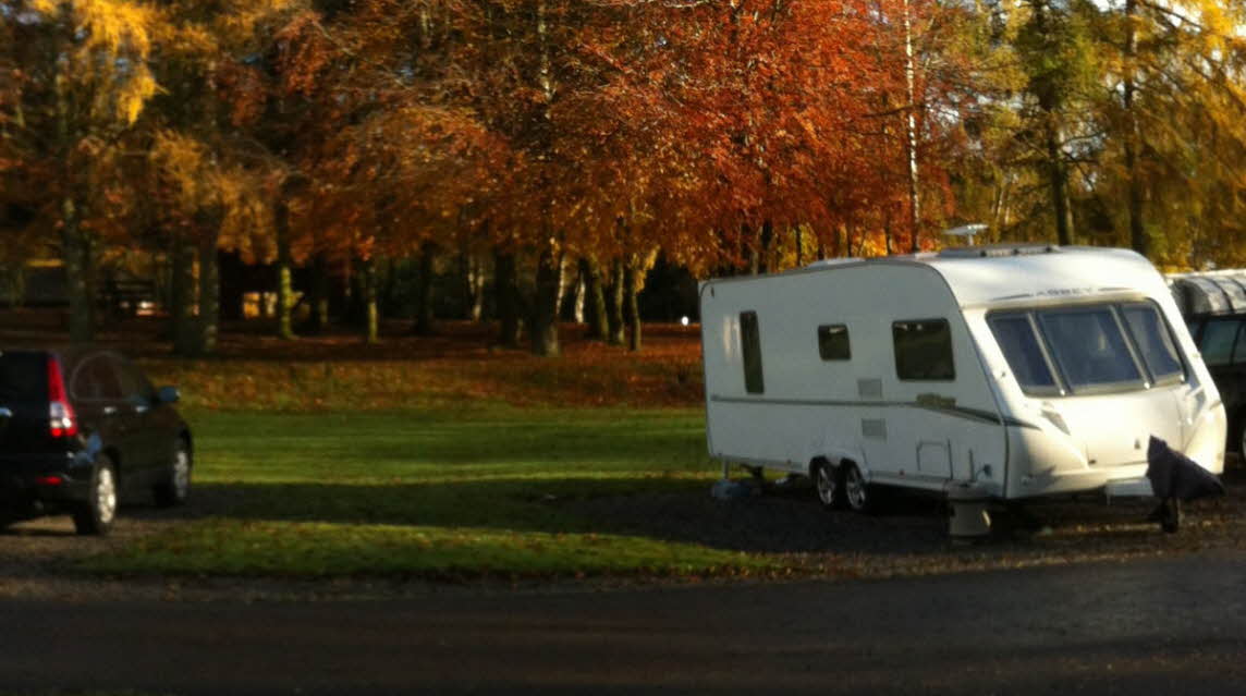 Lady Margaret's Park Club Campsite | The Caravan Club