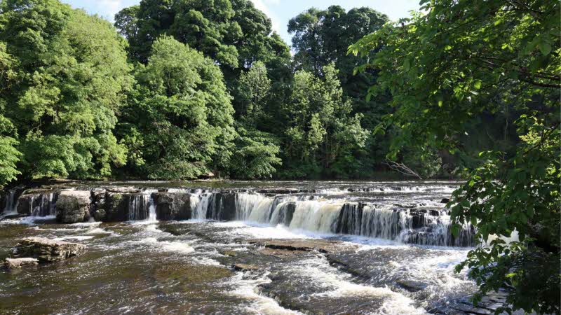 The Caravan and Motorhome Club | The Caravan Club