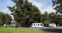 Pembrey Country Park Club Campsite | The Caravan Club