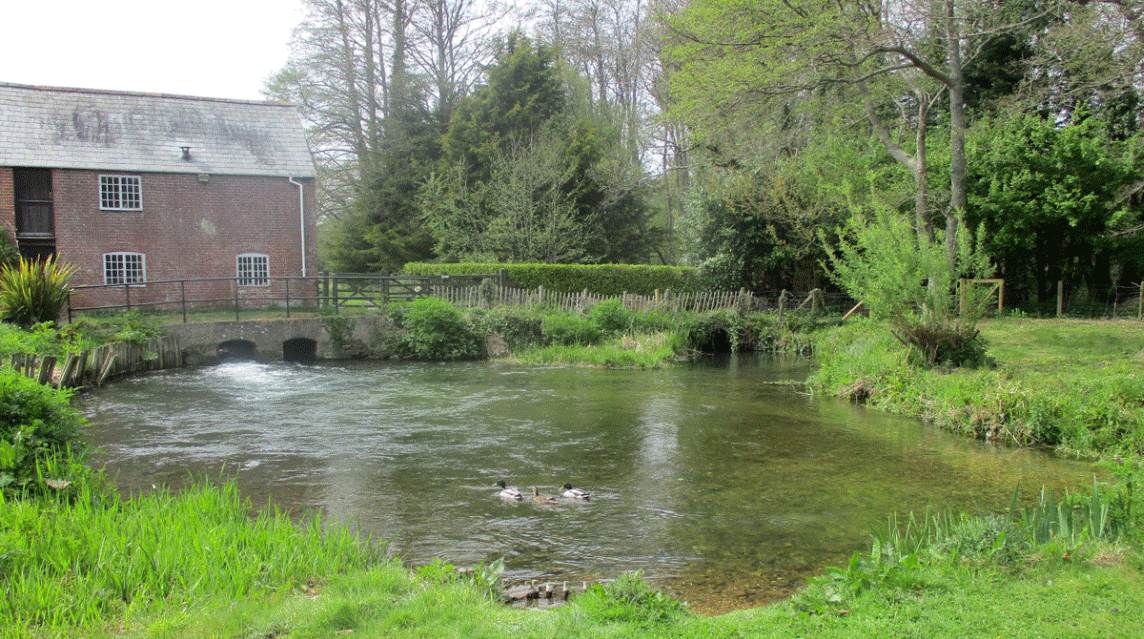 Hawkhill Mill Farm CL | Caravan and Motorhome Club