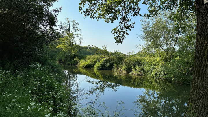 Willow Tree Farm Caravan Park CL | Caravan and Motorhome Club